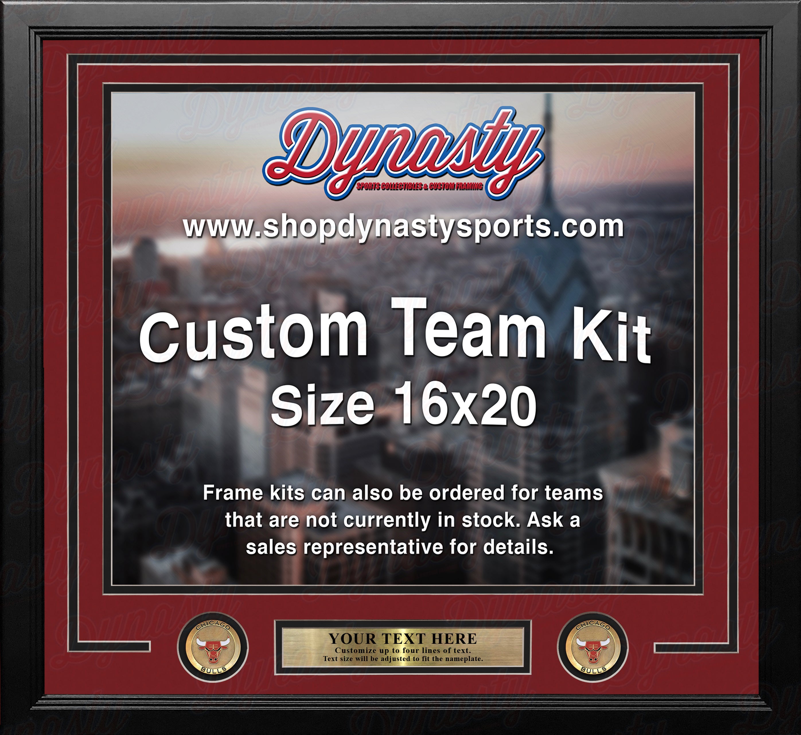 Chicago Bulls Custom NBA Basketball 16x20 Picture Frame Kit (Multiple ...