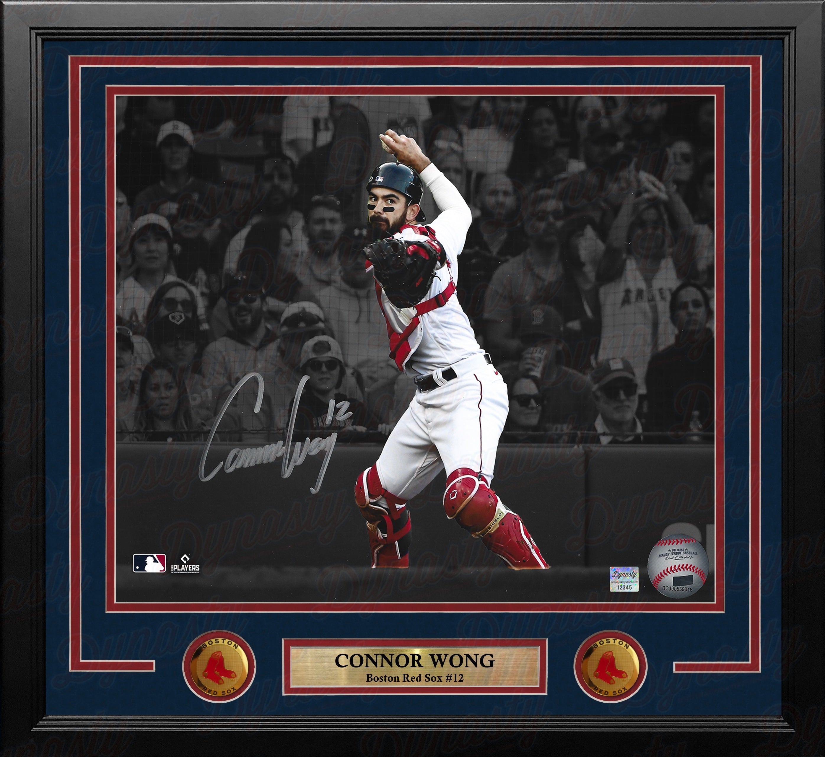 Connor Wong Throwing Action Boston Red Sox Autographed 16" x 20" Framed ...
