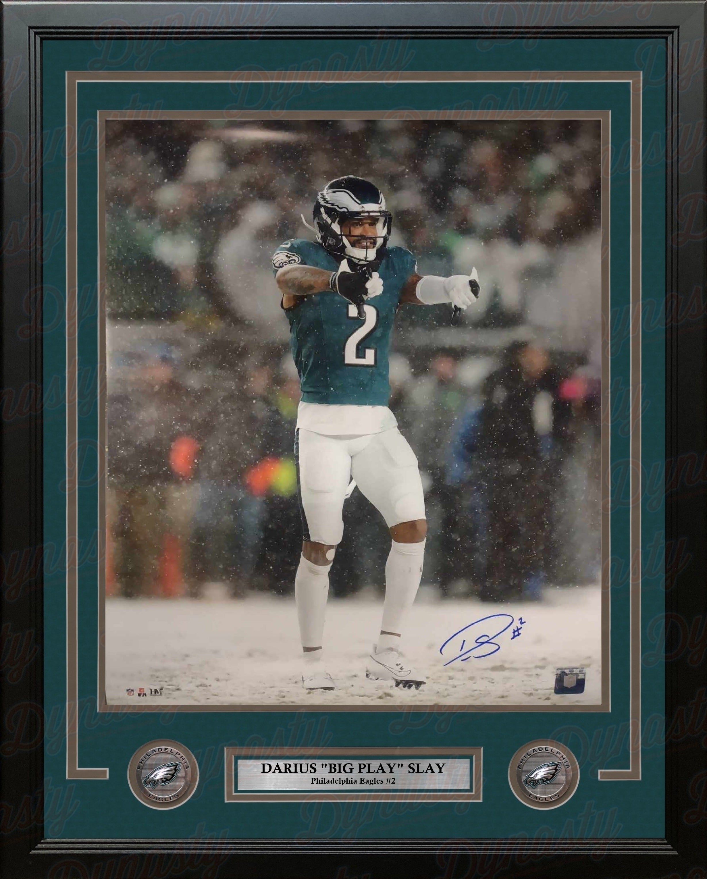 Darius Slay Thumbs Down in the Snow Philadelphia Eagles Autographed 16 ...