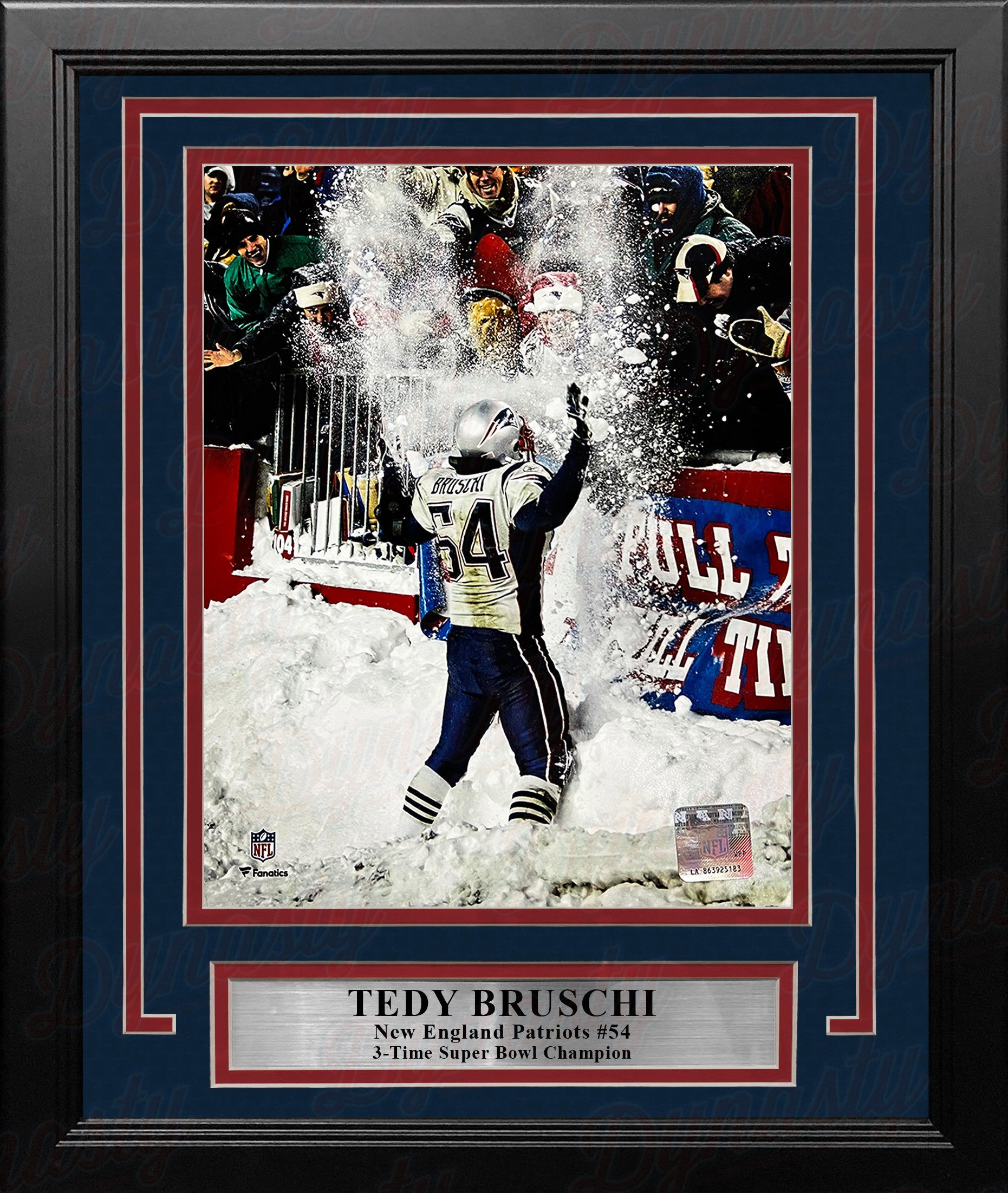 Tedy Bruschi Snow Celebration New England Patriots 8" x 10" Framed ...